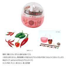 【可愛療癒小物】Green Capsule Chili 扭蛋小盆栽 辣椒系列 (5款隨機發貨) - 遊牧雜貨